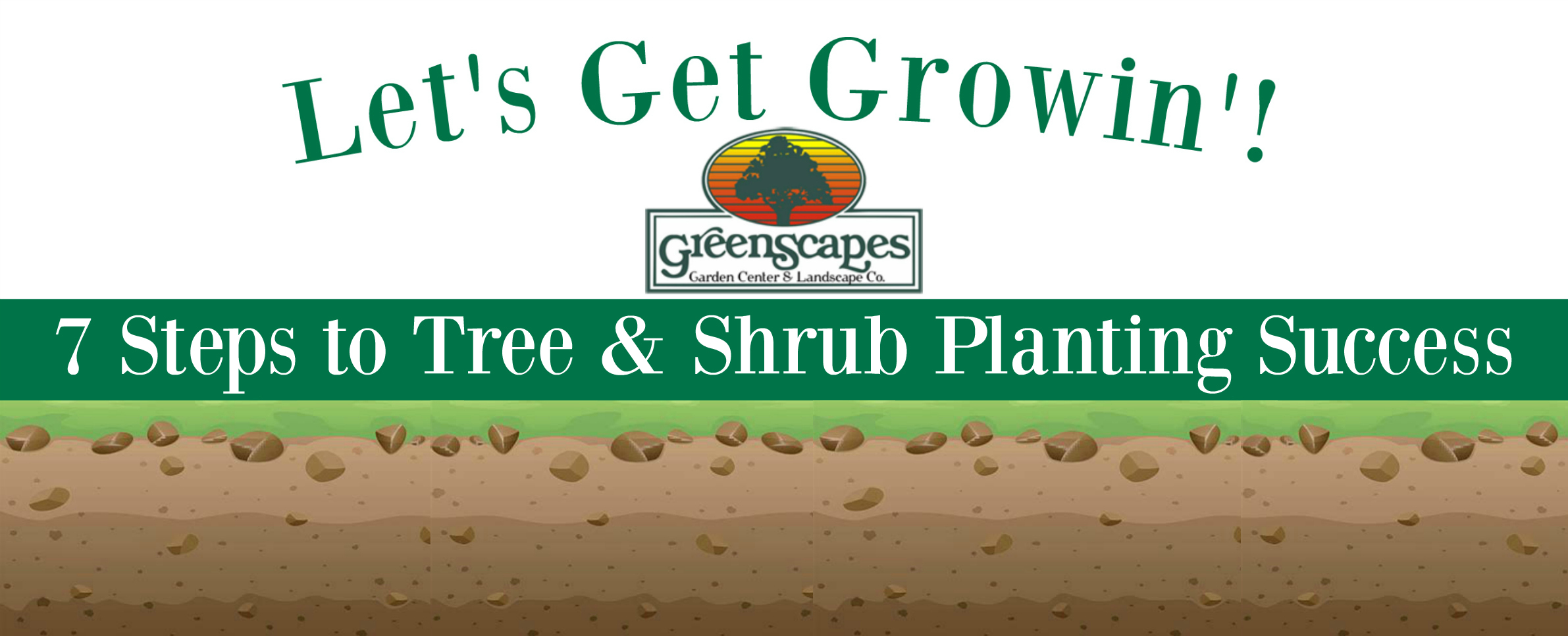 7 Steps to Tree & Shrub Planting Success - GreenScapes Garden Center ...